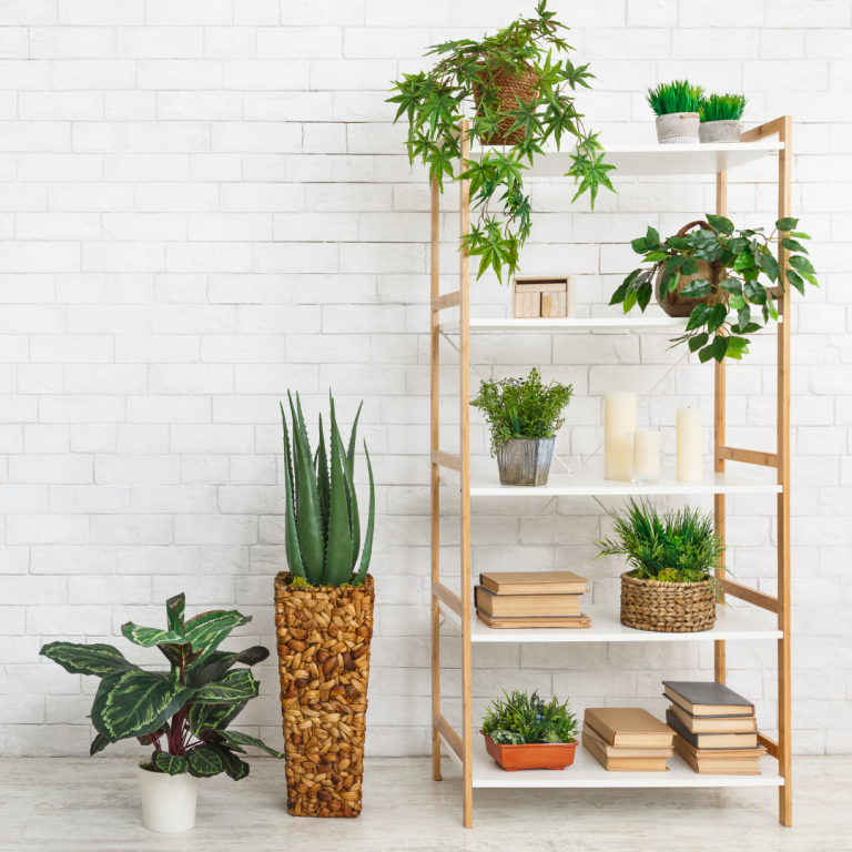 How to Create an Adjustable Bookcase – Arcadian Home Decor